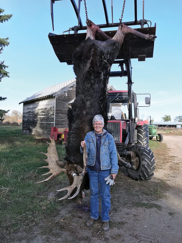 Mining for moose | News, Sports, Jobs - Minot Daily News